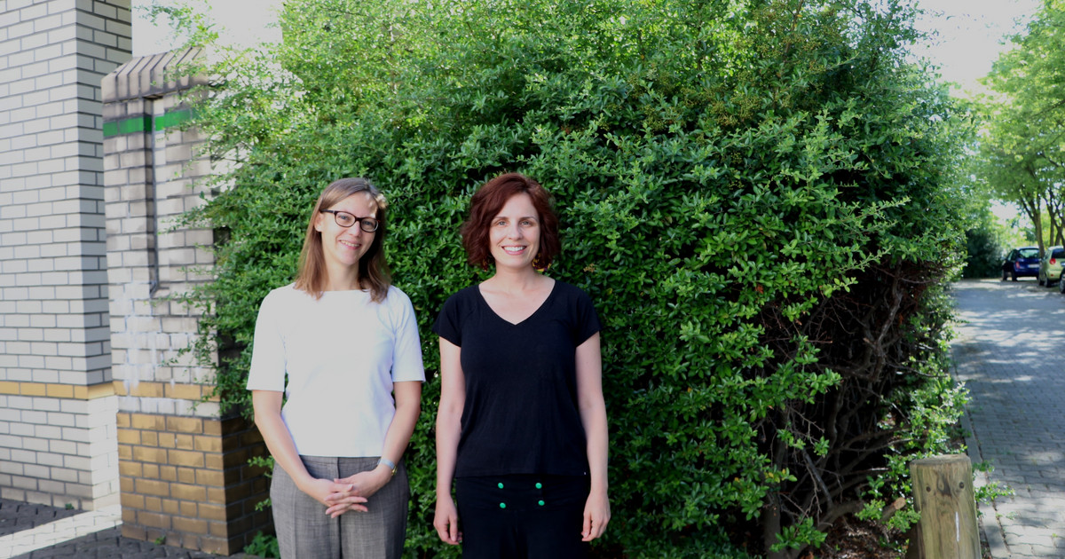 Kelly Howe, Ph.D., zu Gast am IFS - IFS - TU Dortmund